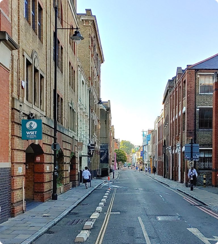 WSET-Training – Werder wine training